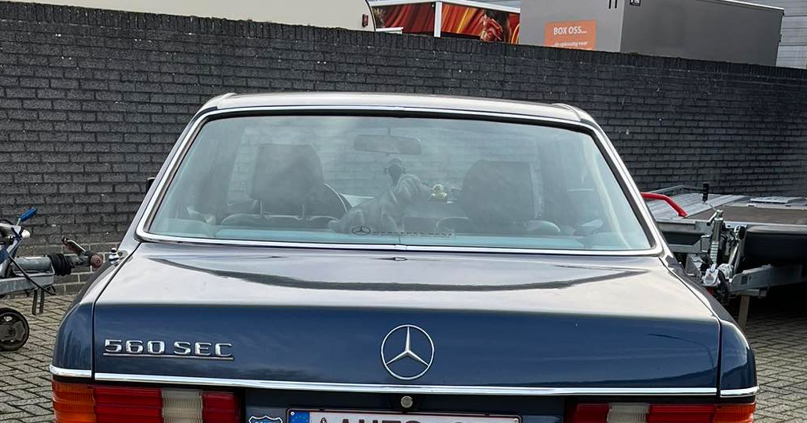 Foto van oldtimer gaat viraal door gepersonaliseerde nummerplaat ...